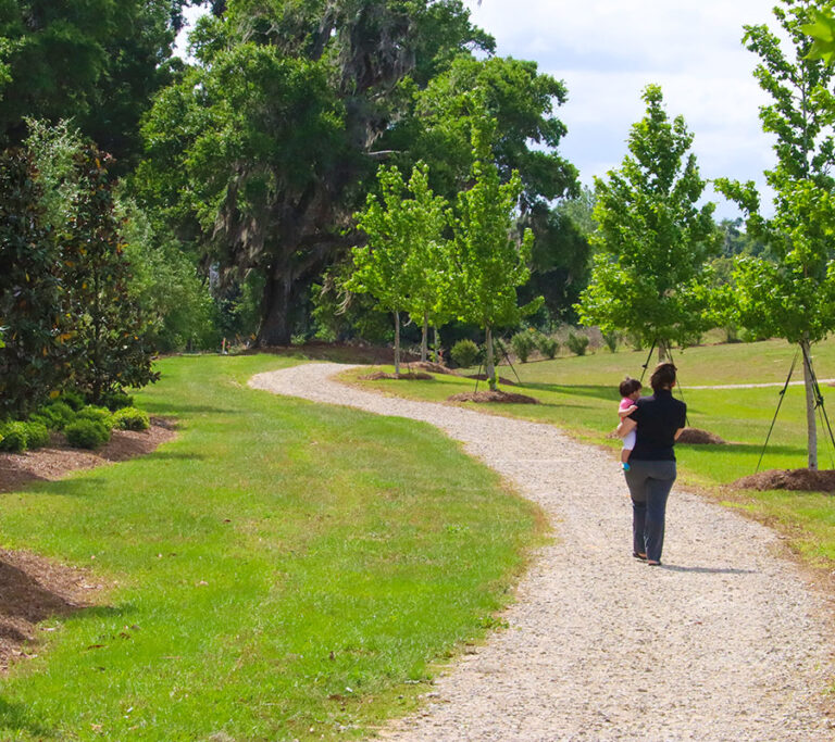 Trails - Calesa Township – Ocala, FL